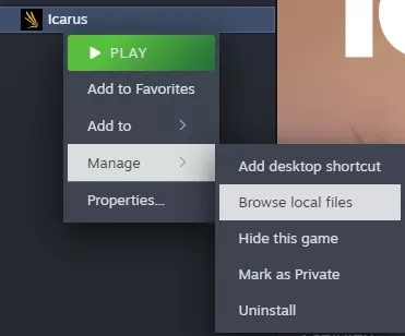 How to Install Mods on an ICARUS Server – BisectHosting